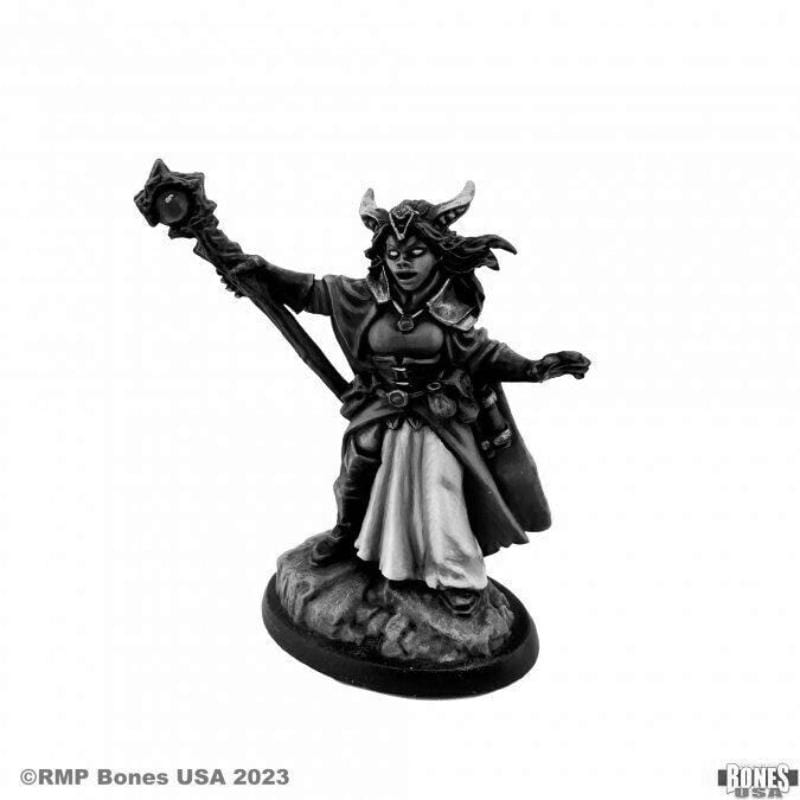 Reaper Miniatures - Valavir Nightsong Hellborn Wizard – Gumnut